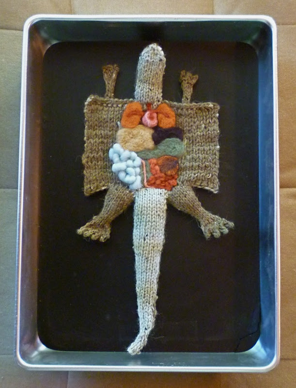Knitted Dissection: Biology Meets Art | Amusing Planet